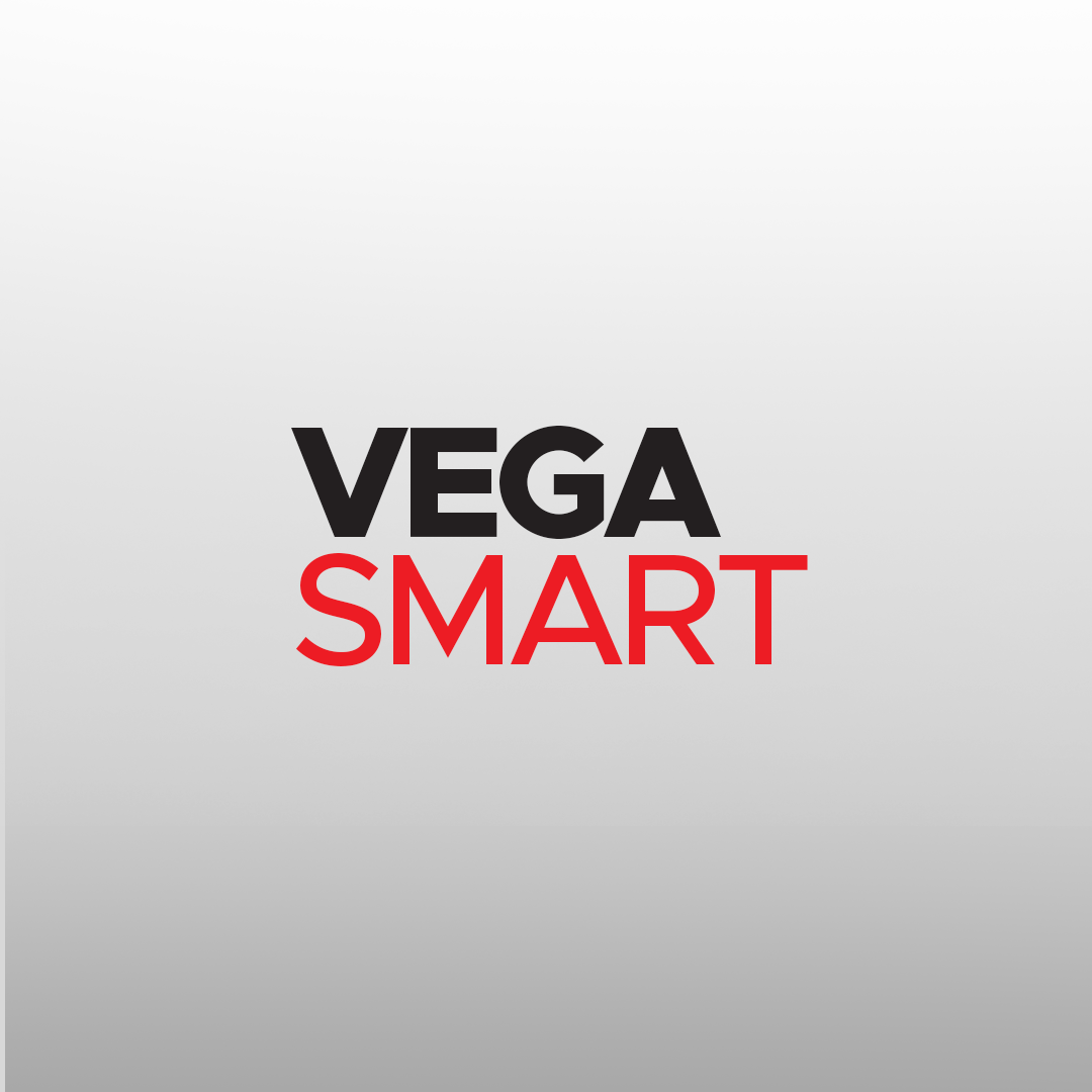 Yazılım – Vega Yazılım